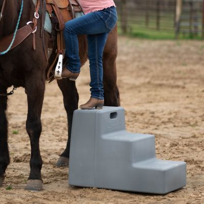 Century 3-Step Heavy-Duty Pet Grooming/Mounting Block, Grey at Tractor ...