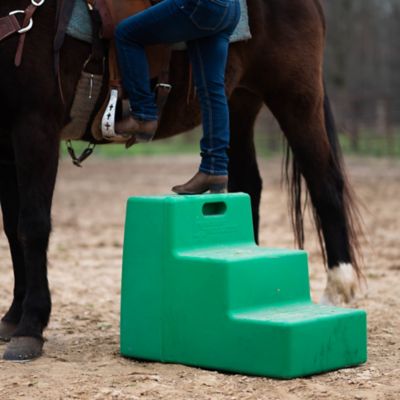 Century 3-Step Heavy-Duty Pet Grooming/Mounting Block, Green at Tractor ...