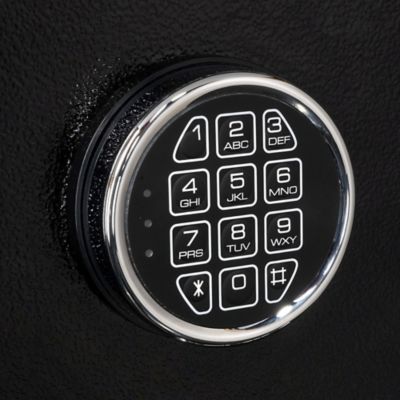 Cannon 5.5 cu. ft. Electronic Keypad Lock Fire-Resistant Home Safe, 47 ...