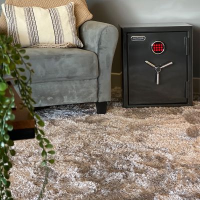 Sanctuary 3.32 cu. ft. Electronic Lock Platinum Fireproof/Waterproof ...