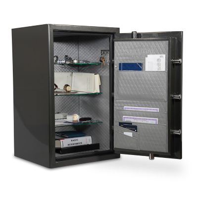 Sanctuary 4.98 cu. ft. Electronic Lock Platinum Fireproof/Waterproof ...