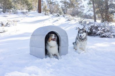 Petmate Husky Outdoor Plastic Dog House, 50 lb. to 90 lb. at Tractor ...