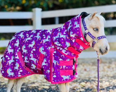 Star Point Horsemanship Unicorn Pattern Hooded Horse Blanket ...