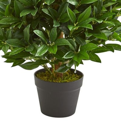 Nearly Natural 3 ft. Artificial Indoor/Outdoor UV-Resistant Bay Leaf ...