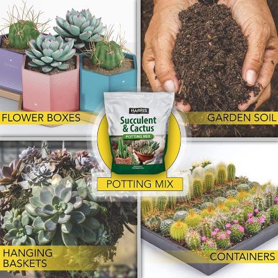 Harris 4 qt. Succulent and Cactus Potting Soil at Tractor Supply Co.