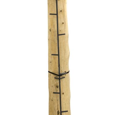 Rivers Edge 20 ft. Big Foot Connected Tree Stand Climbing Stick at ...