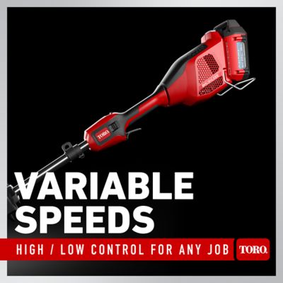 Toro Flex-Force Power System 60V Max Attachment Capable Power Head ...