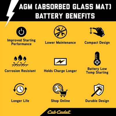 Black & Decker 12V 135 CCA Absorbent Glass Mat OEM Replacement Battery ...