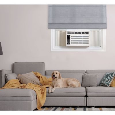 Whirlpool 8,000 BTU 115V Window-Mounted Air Conditioner with Remote ...