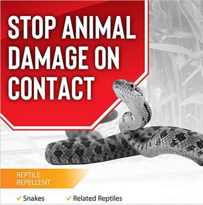 Animal Stoppers 25 lb. Reptile Stopper Animal Repellent, Ready-to-Use ...