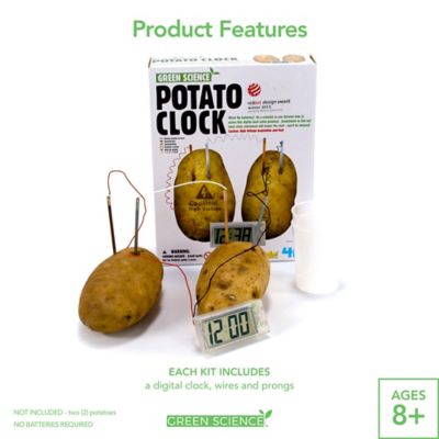 4M Green Science Potato Clock Kit at Tractor Supply Co.