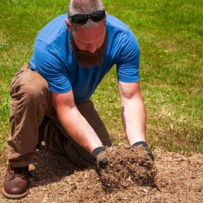 DR Power Equipment Stump Grinder Pro XLSP at Tractor Supply Co.