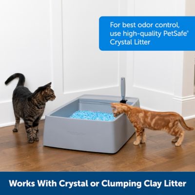 PetSafe Multi-Cat Litter Box at Tractor Supply Co.