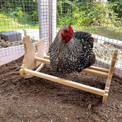 Backyard Barnyard Chicken Rocking Roosting Perch for Poultry Coop and ...