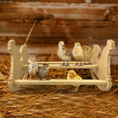 Backyard Barnyard Chicken Rocking Roosting Perch for Poultry Coop and ...