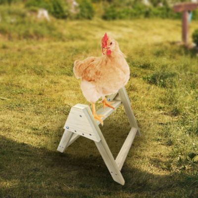 Backyard Barnyard XL Chicken Perch Roosting Bar Ladder