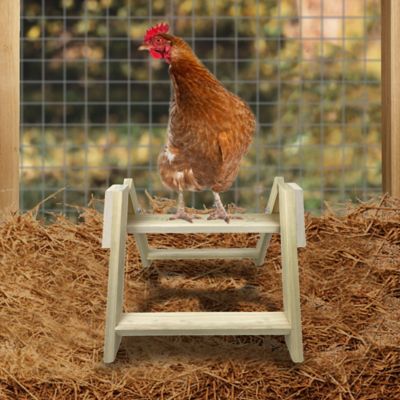 Backyard Barnyard XL Chicken Perch Roosting Bar Ladder