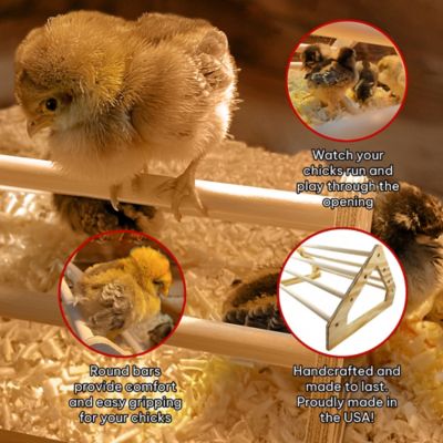 Backyard Barnyard Chick Perch Roosting Bar Toy for Chicks Brooder Box ...