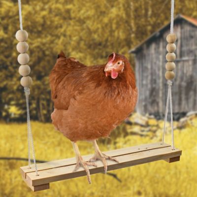 Backyard Barnyard Chicken Swing Roosting Bar Perch Poultry Toy for Coop ...