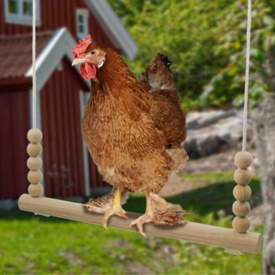 Backyard Barnyard Chicken Swing Roosting Bar Perch Poultry and Bird Toy ...