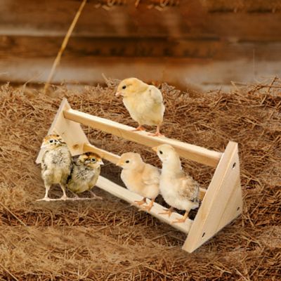 Backyard Barnyard 3-Bar Chicken Roosting Bar Perch for Poultry Coop and ...