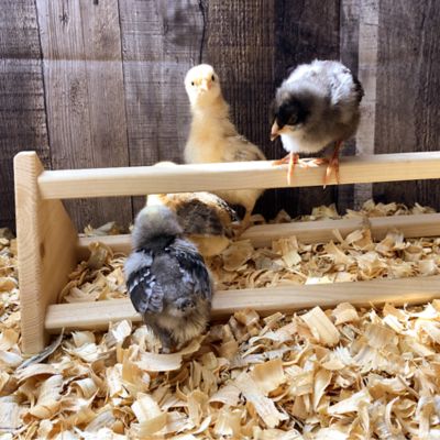 Backyard Barnyard 3-Bar Chicken Roosting Bar Perch for Poultry Coop and ...