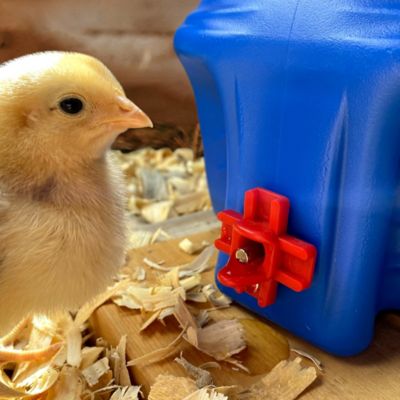 Backyard Barnyard Horizontal Chicken Water Nipple Kit, 12-Pack