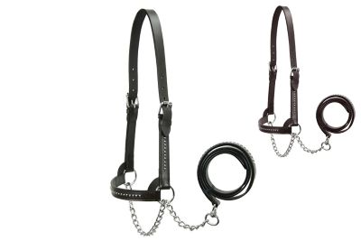 Derby Originals Leather with Stainless-Steel Spots Show Halter for Cows ...