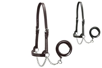 Derby Originals Leather with Stainless-Steel Spots Show Halter for Cows ...