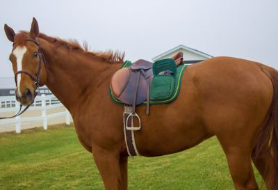 Derby Originals Half-Fleece Dressage Saddle Pad with Pockets at Tractor ...