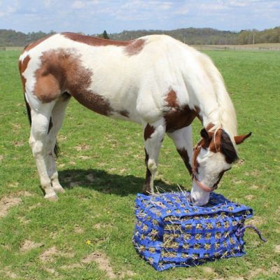 Derby Originals 7-8 Flake Natural Grazer Slow Feeder Horse Hay Bag with ...