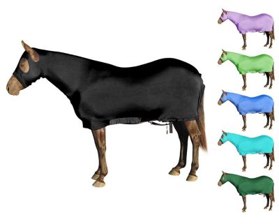 Derby Originals Lycra Full Body Horse Sheet with Neck Cover, M,Black at ...