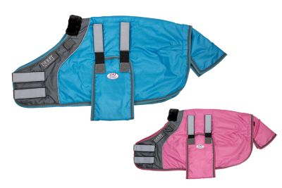 Derby Originals No Hardware 150g/420D Nylon Mediumweight Winter Foal ...