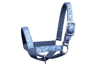 Derby Originals Nylon Cow Halter with Padded Overlay at Tractor Supply Co