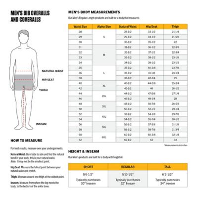 Carhartt Men's Rugged Flex Unlined Rigby Bib Overalls at Tractor Supply Co