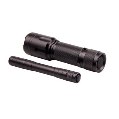 JobSmart 500-Lumen Aluminum Flashlight and 100-Lumen Penlight Set at ...