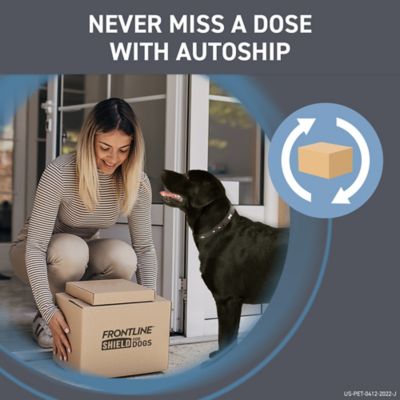 Frontline Shield Flea and Tick Treatment for Extra Small Dogs 5-10 lb ...