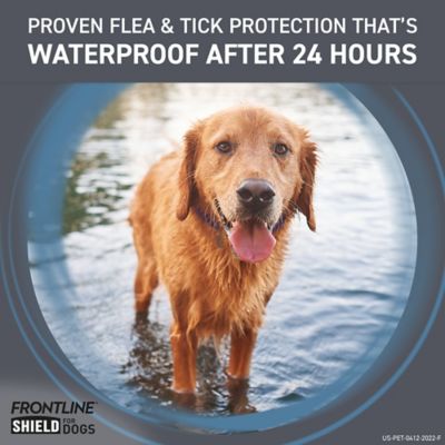 Frontline Shield Flea and Tick Treatment for Extra Small Dogs 5-10 lb ...
