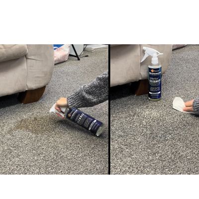 Prime Solutions Professional Interior Cleaner Concentrate, Carpet and ...