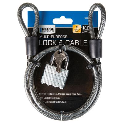 Reese Towpower 5/16 in. x 4 ft. Heavy-Duty Security Cable with Lock at ...