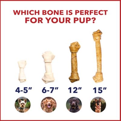 Pet Factory Made in USA Beefhide Bone Chicken Flavored - 12 in., 1 ct ...
