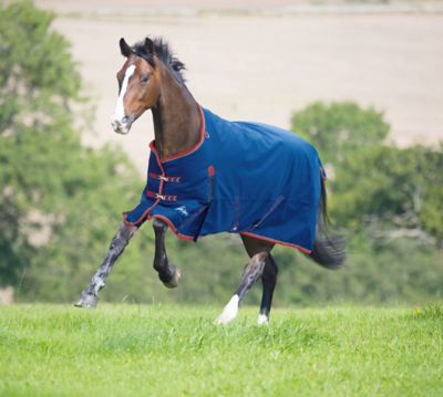 Shires Highlander Plus 300g Turnout Horse Blanket - 1984355 at Tractor ...