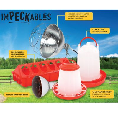 ImPECKables Beginner Poultry Feeder and Waterer Kit at Tractor Supply Co.