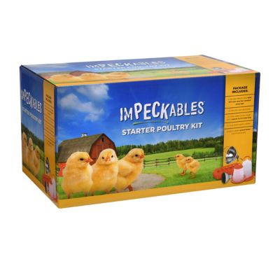 ImPECKables Beginner Poultry Feeder and Waterer Kit at Tractor Supply Co.