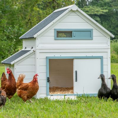 Producer's Pride Guardian Chicken Coop, 14 Chicken Capacity at Tractor ...
