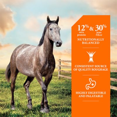 DuMOR Hay Stretcher Pelleted Horse Feed, 50 lb. Bag at Tractor Supply Co