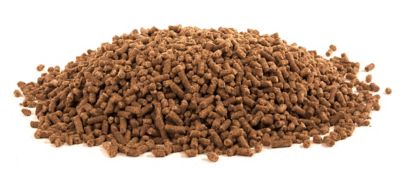 UltraCruz Equine Metabolic Support Supplement for Horses, 10 lb. at ...