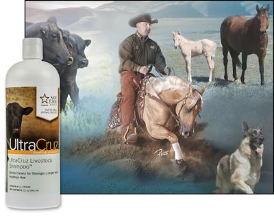 UltraCruz Livestock Shampoo for Cattle, Goats, Sheep and Pigs at ...