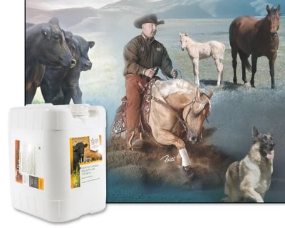 UltraCruz Livestock Natural Fly and Tick Spray for Cattle, Goats, Sheep ...