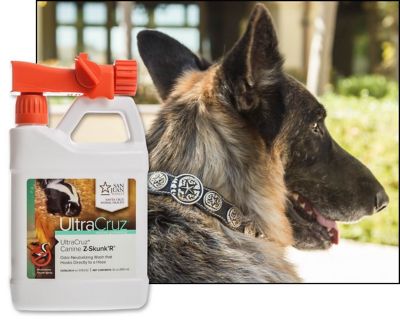 UltraCruz Canine Z-Skunk'R Odor-Neutralizing Foaming Shampoo for Dogs ...